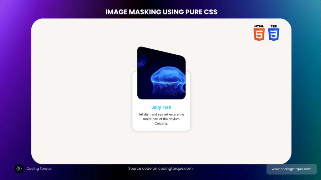 Html And Css Coding Torque