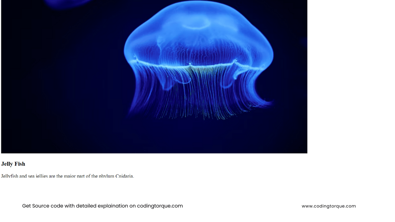 Image Masking Using Pure Css Coding Torque