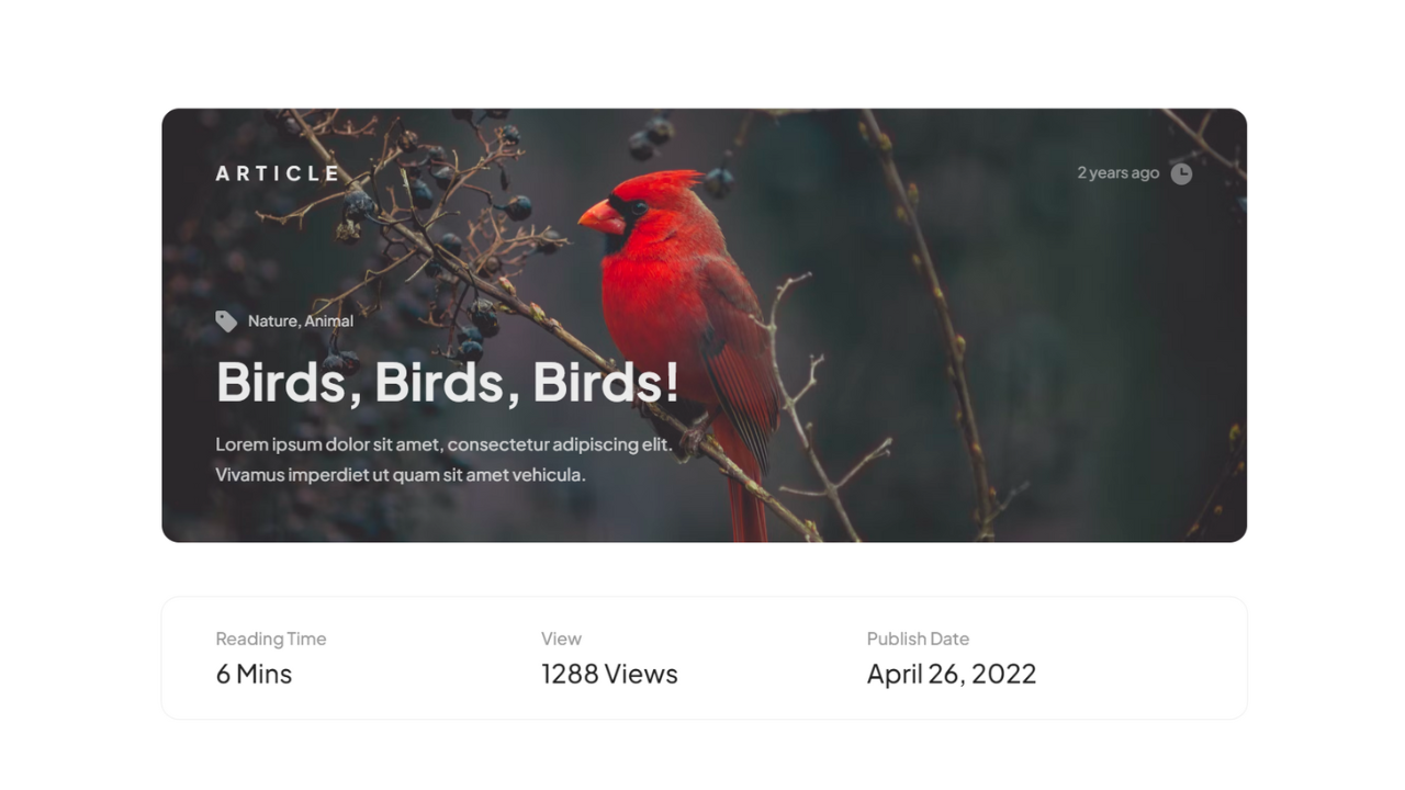 Article Details Page using HTML and CSS » Coding Torque